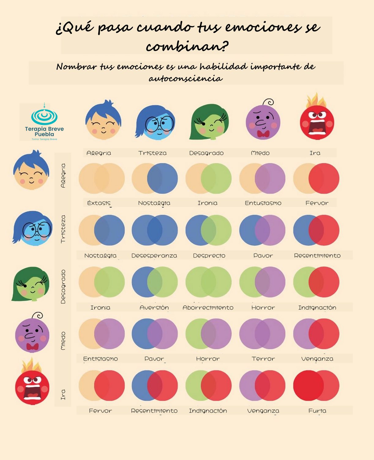 Terapia - 🌈 Nombrar lo que sentimos nos da claridad. Cuando ponemos ...