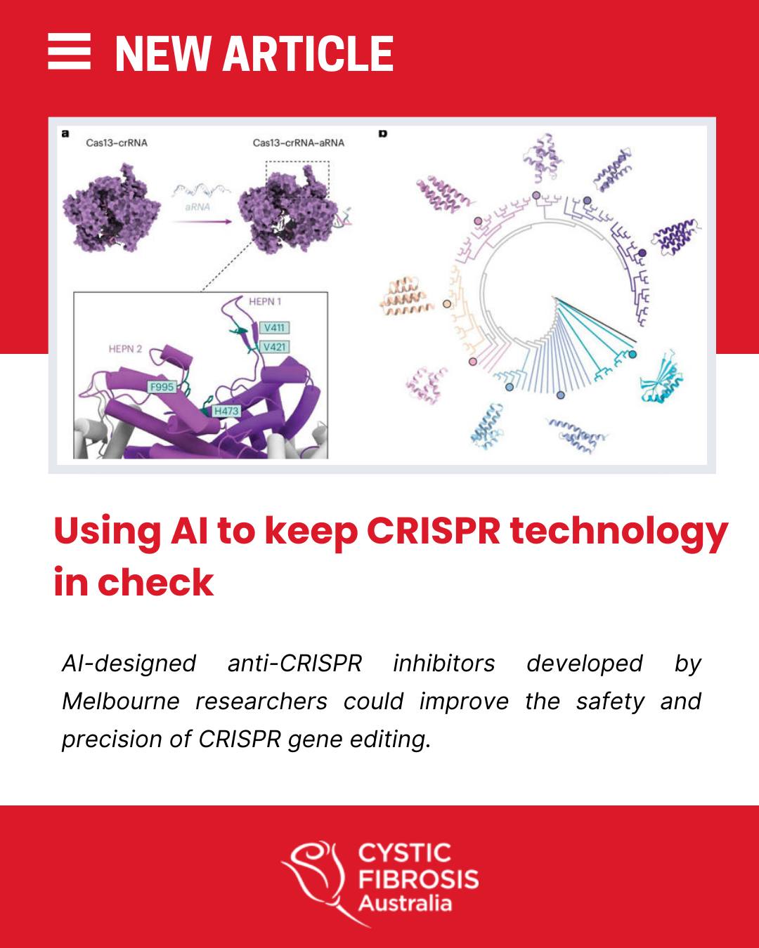 Cystic - A Major Breakthrough in Safer Gene Editing CRISPR gene editing ...