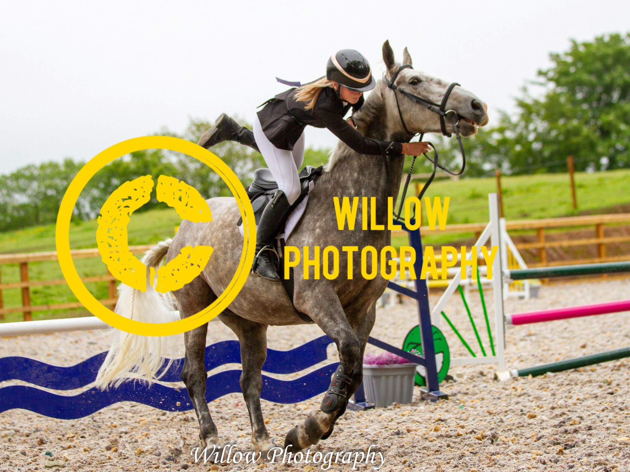 Willow Photography 4 Facebook