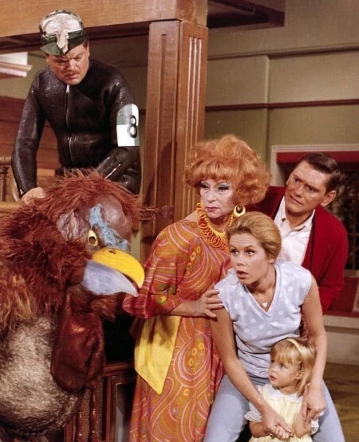 A Promo Photo The Bewitched History Book By David Pierce Facebook
