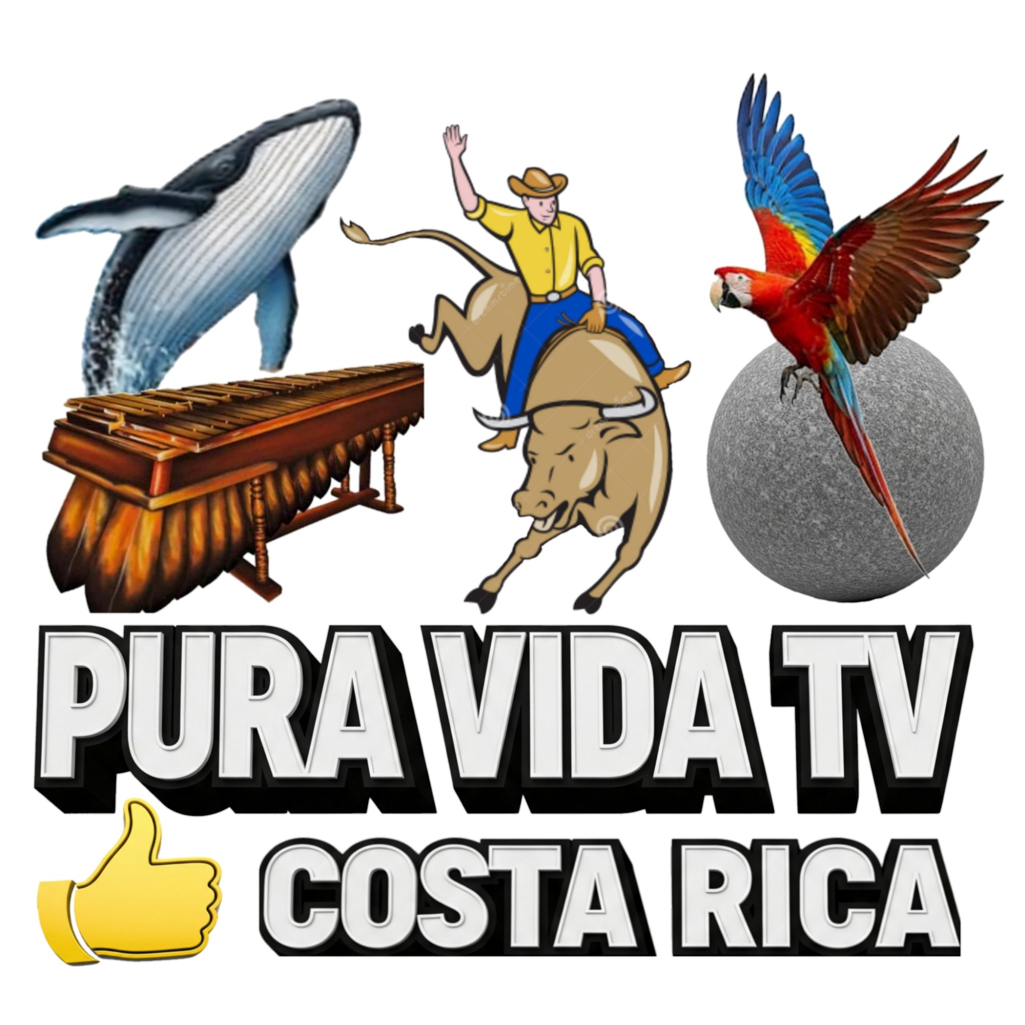 Pura Vida Tv Costa Rica | Santa Cruz
