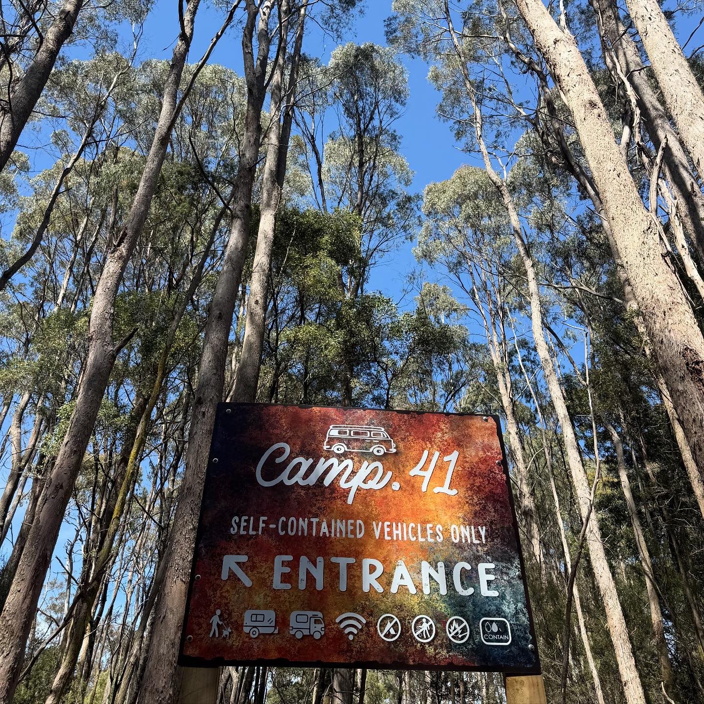 Camp41 1016