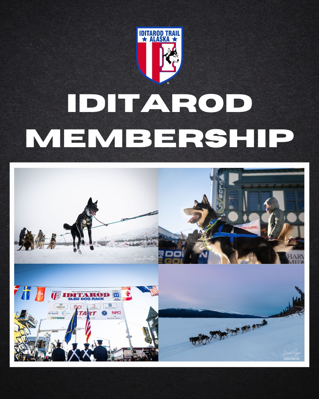 The Iditarod - Be More Than a Fan — Become an Iditarod Member 🐾 ️ When ...
