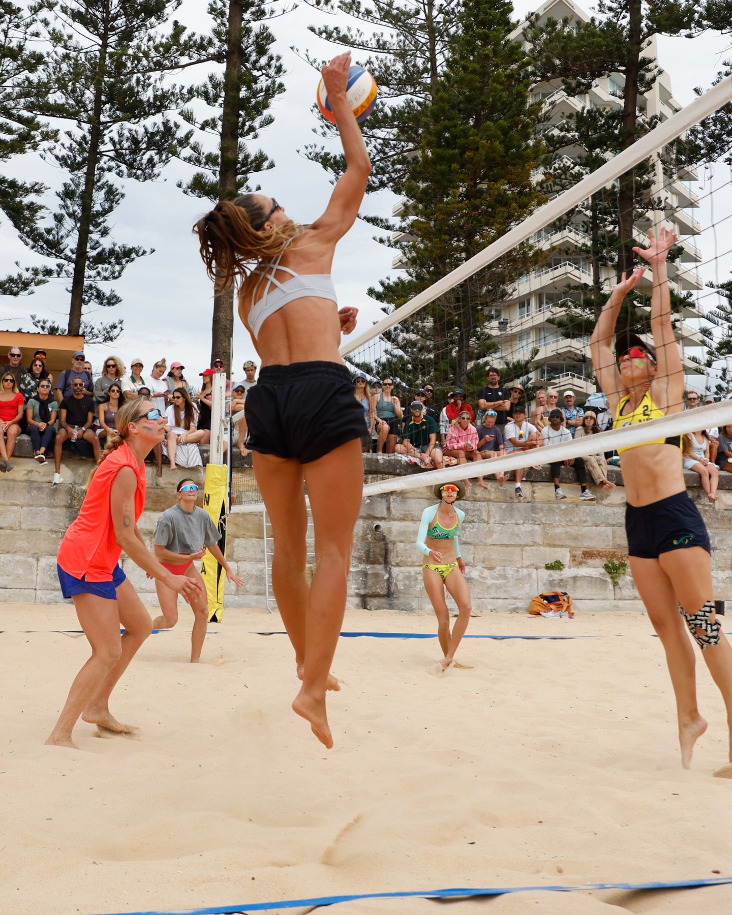 Nbva Nbva Northern Beaches Volleyball Association