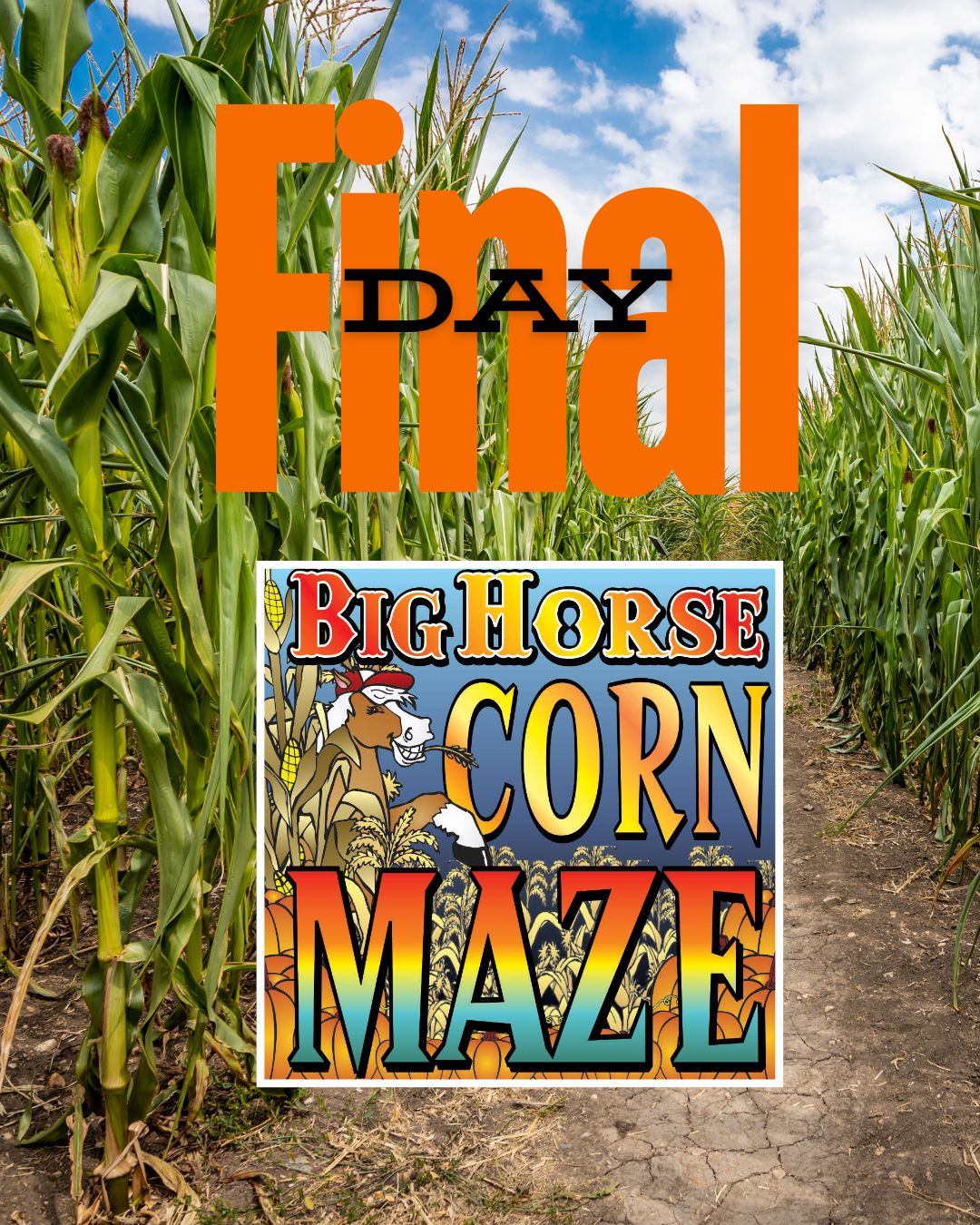 Big - 🌽🐴 Last call for adventure at the Big Horse Corn Maze! Join us on ...