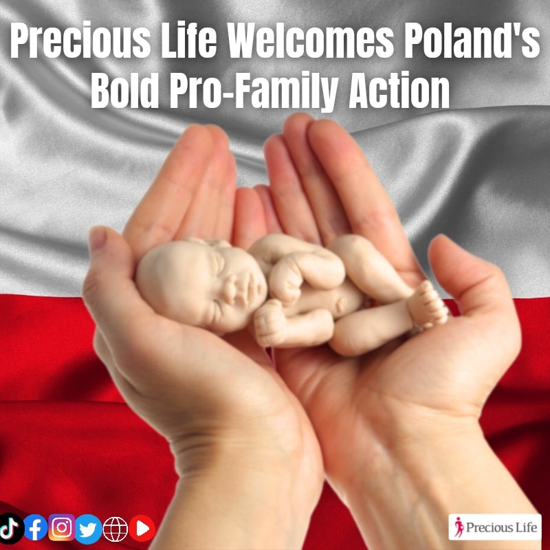 Precious Life Precious Life Added A New Photo 1218