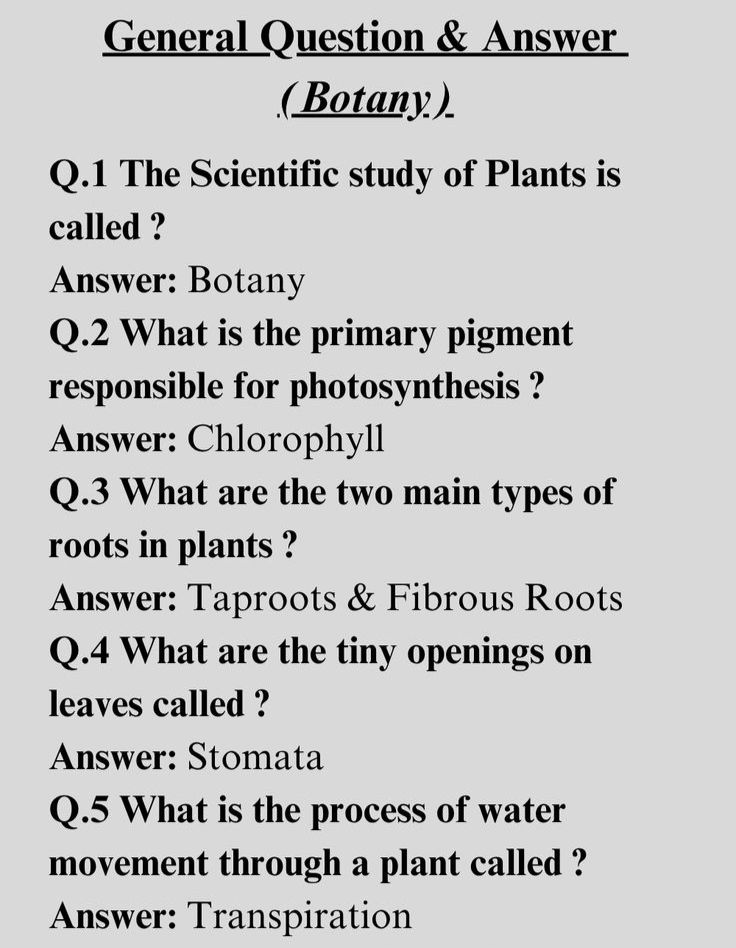 🌿 General Questions & Answers... - Biology Physics Chemistry | Facebook