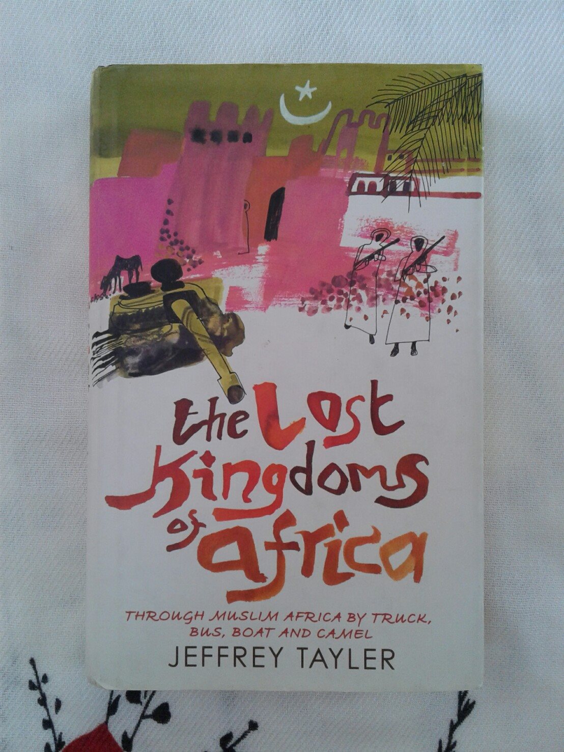 The Lost Kingdoms Of Africa: Through... - Cleaning Bookcase