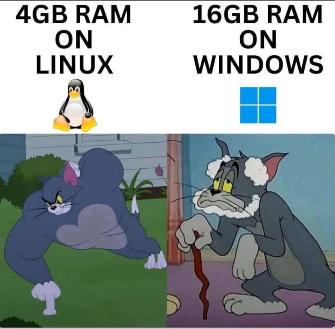 Coding 😂😂 Facebook 6534