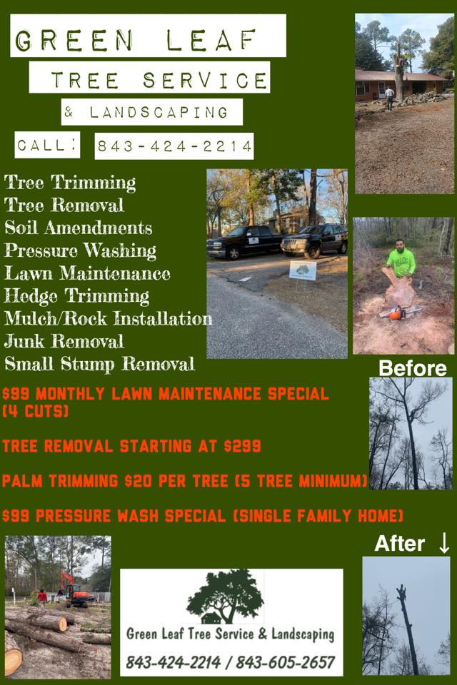 Great Description About Tree Service Myrtle Beach Sc