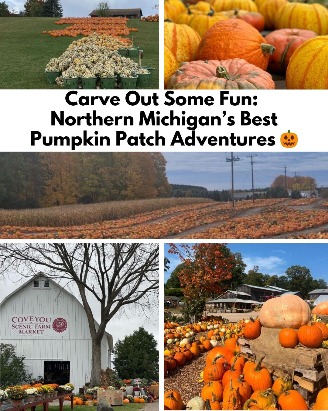 Awesome - 🚗🍁 Admit it—you didn’t really drive north just for the Tunnel ...