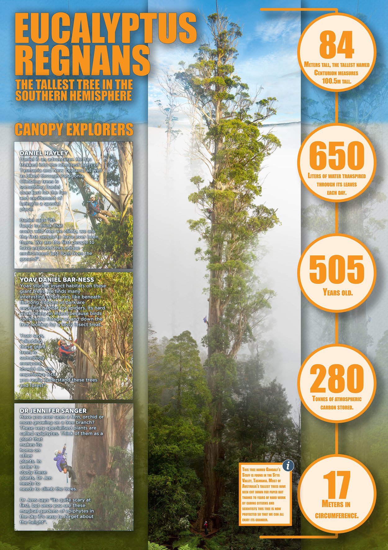 EDUCATORS! - we've made this huge... - The Tree Projects
