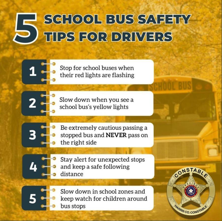 Mark - 🚌 NATIONAL SCHOOL BUS SAFETY WEEK! 🚌 OUR KIDDOS DESERVE A SAFE ...