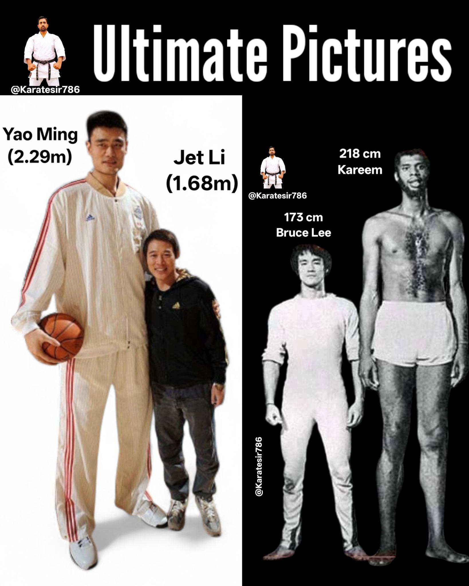 Karate This Image Shows A Height Comparison Of Bruce Lee Kareem