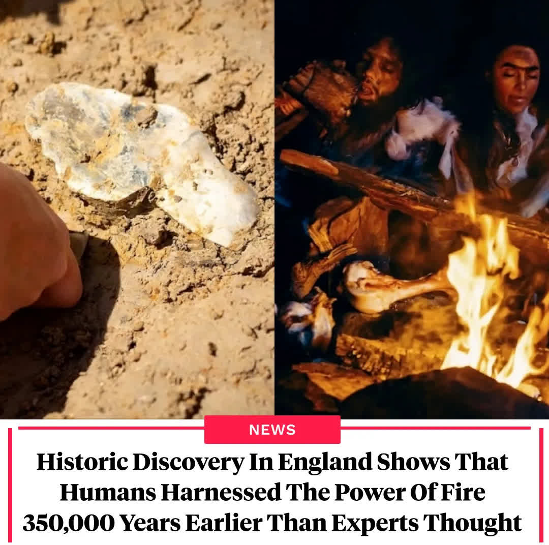 All - "It's an astounding discovery. This is a game-changer ...
