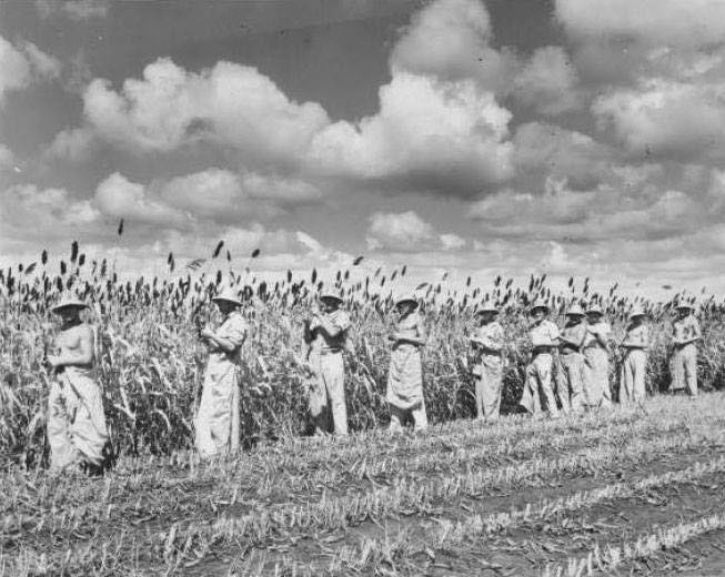 Texas - Did you know that during World War II, Texas held 78,982 Axis ...