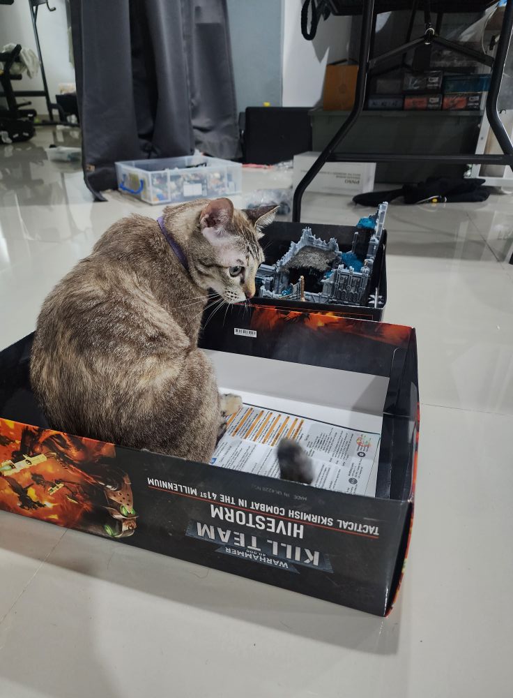 The Game Room แมว Kill Team Facebook 8848