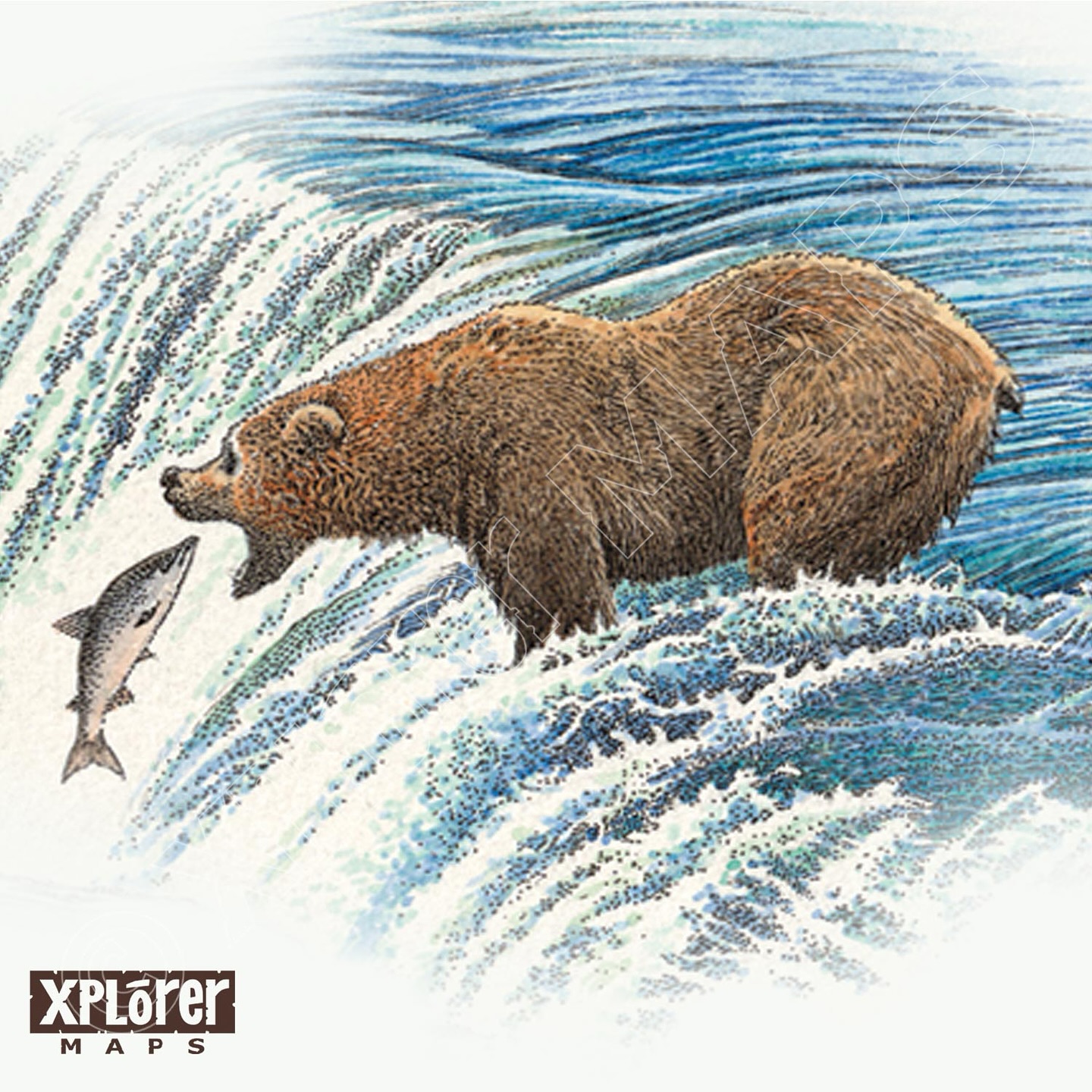 Xplorer - 🐻 Fat Bear Week is HERE! 🐾 From September 23–30, 2025, we’re ...