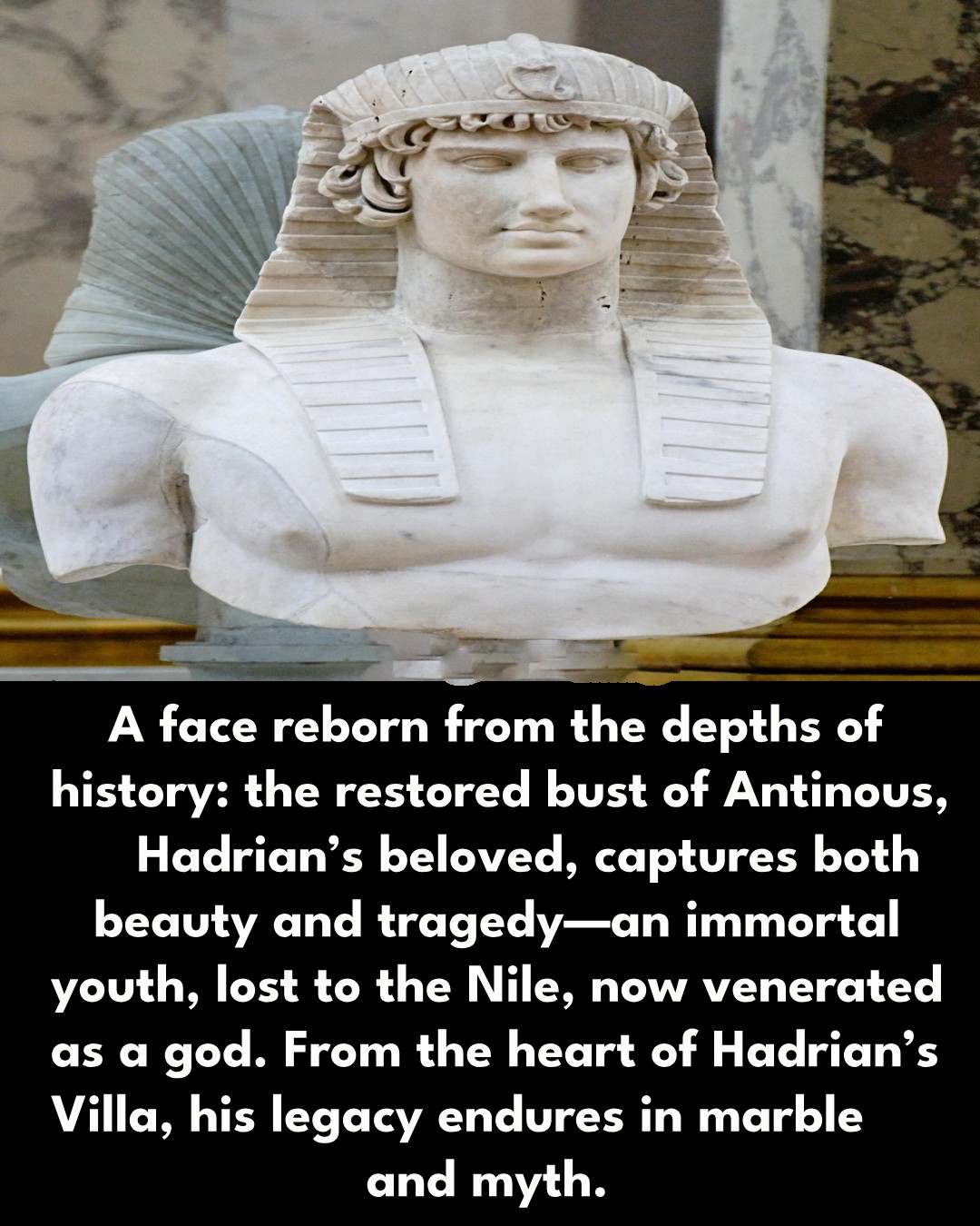 Historical - Restored bust of Antinous, the lover of Roman Emperor ...