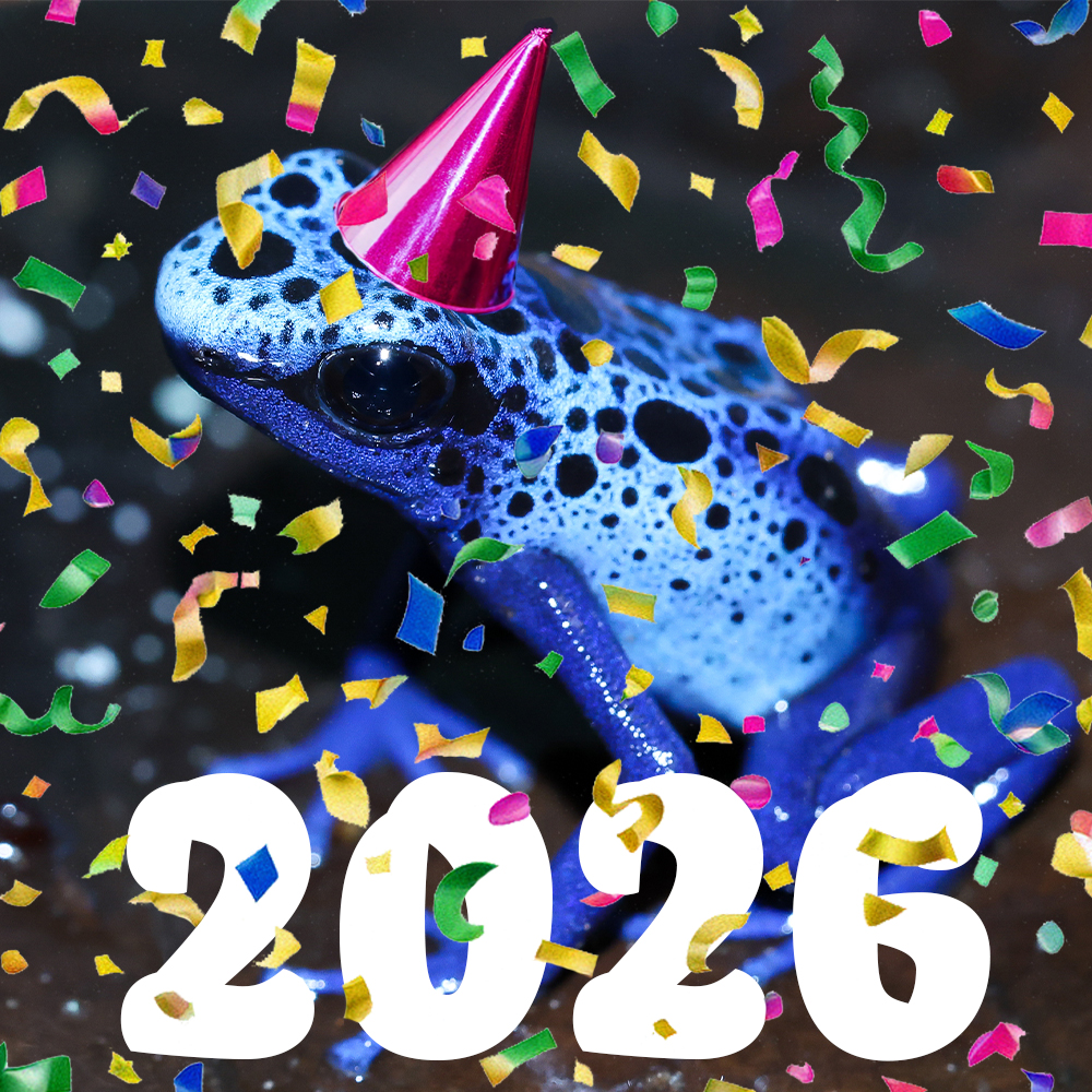 Josh's Frogs - Happy New Year from Josh’s Frogs! 🎉🎉🎉 We... | Facebook