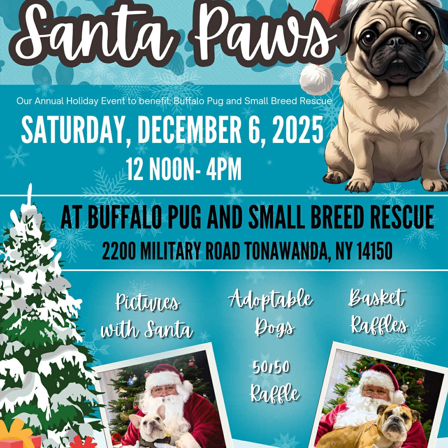 Buffalo Pug &... - Buffalo Pug & Small Breed Rescue, Inc.