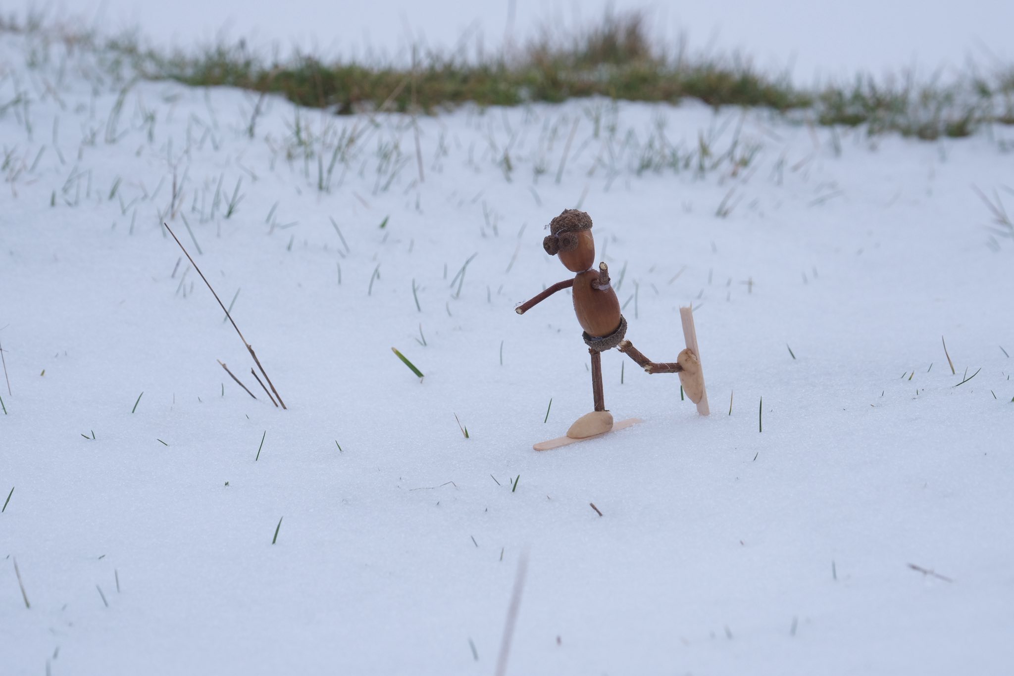 Adventures of the Acorn... - Adventures of the Acorn People