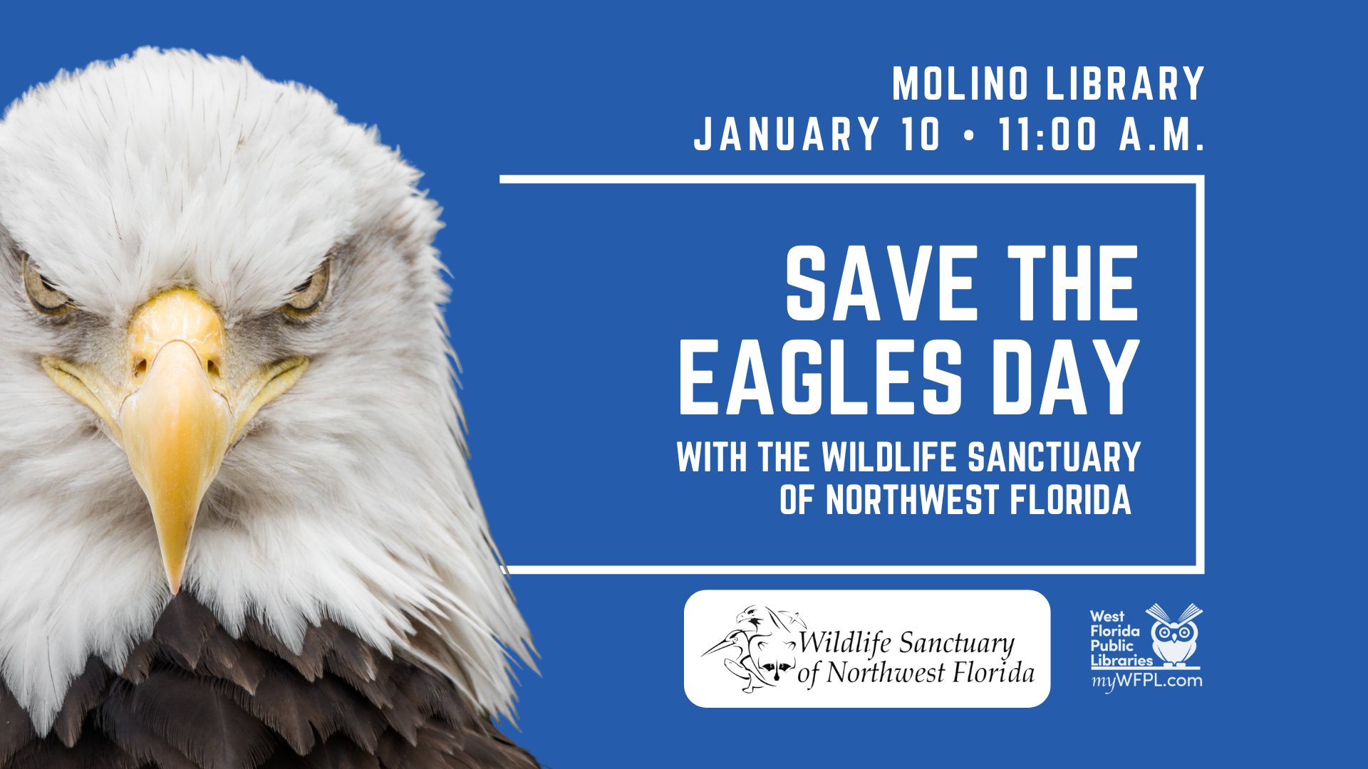 Wildlife Sanctuary of Northwest Florida, Inc. | Pensacola FL