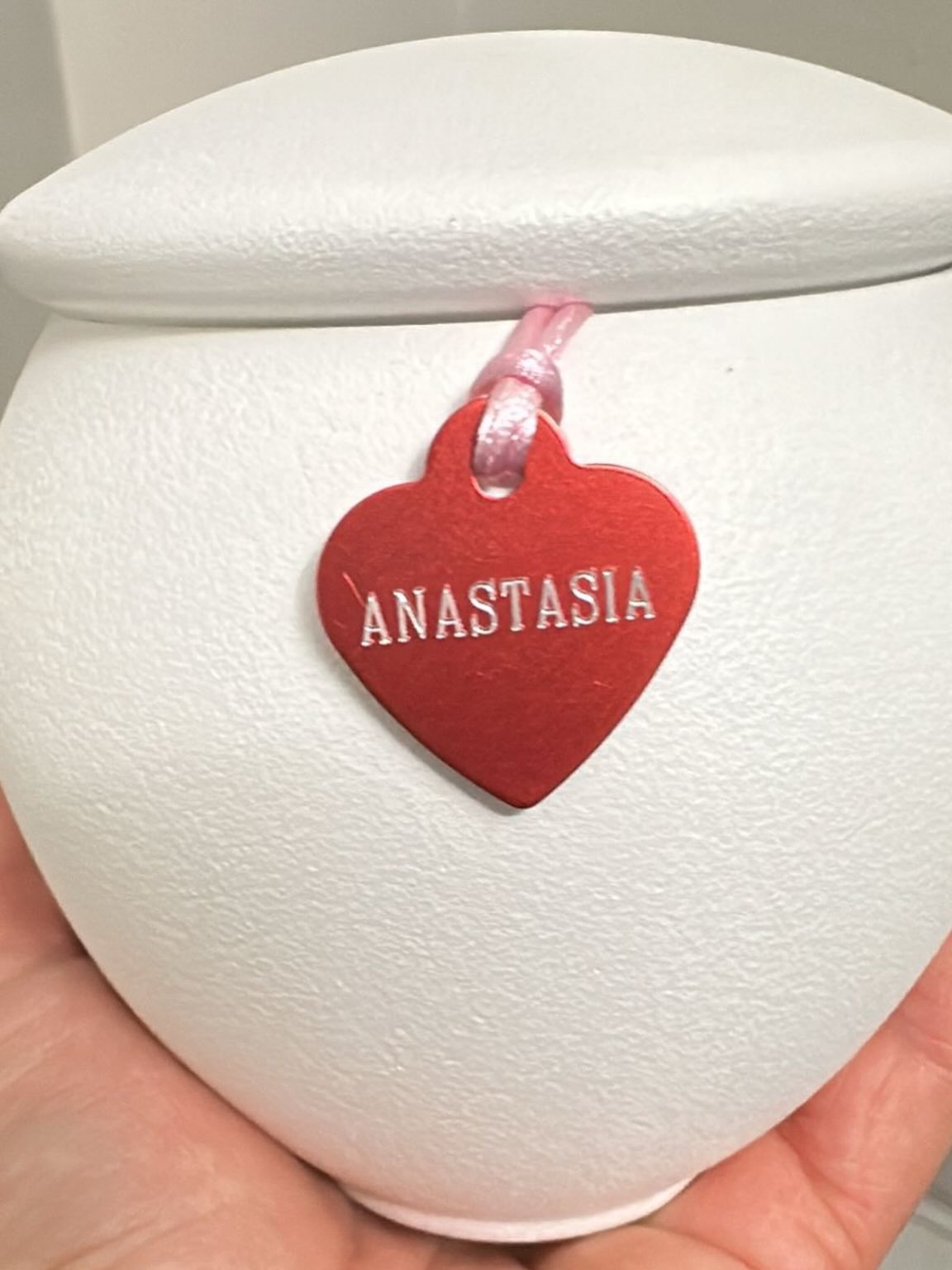 La Casa Di Axel Bridget 🖤 Cucciola Di 3 Mesi Si Trova Alla Casa Di 7650
