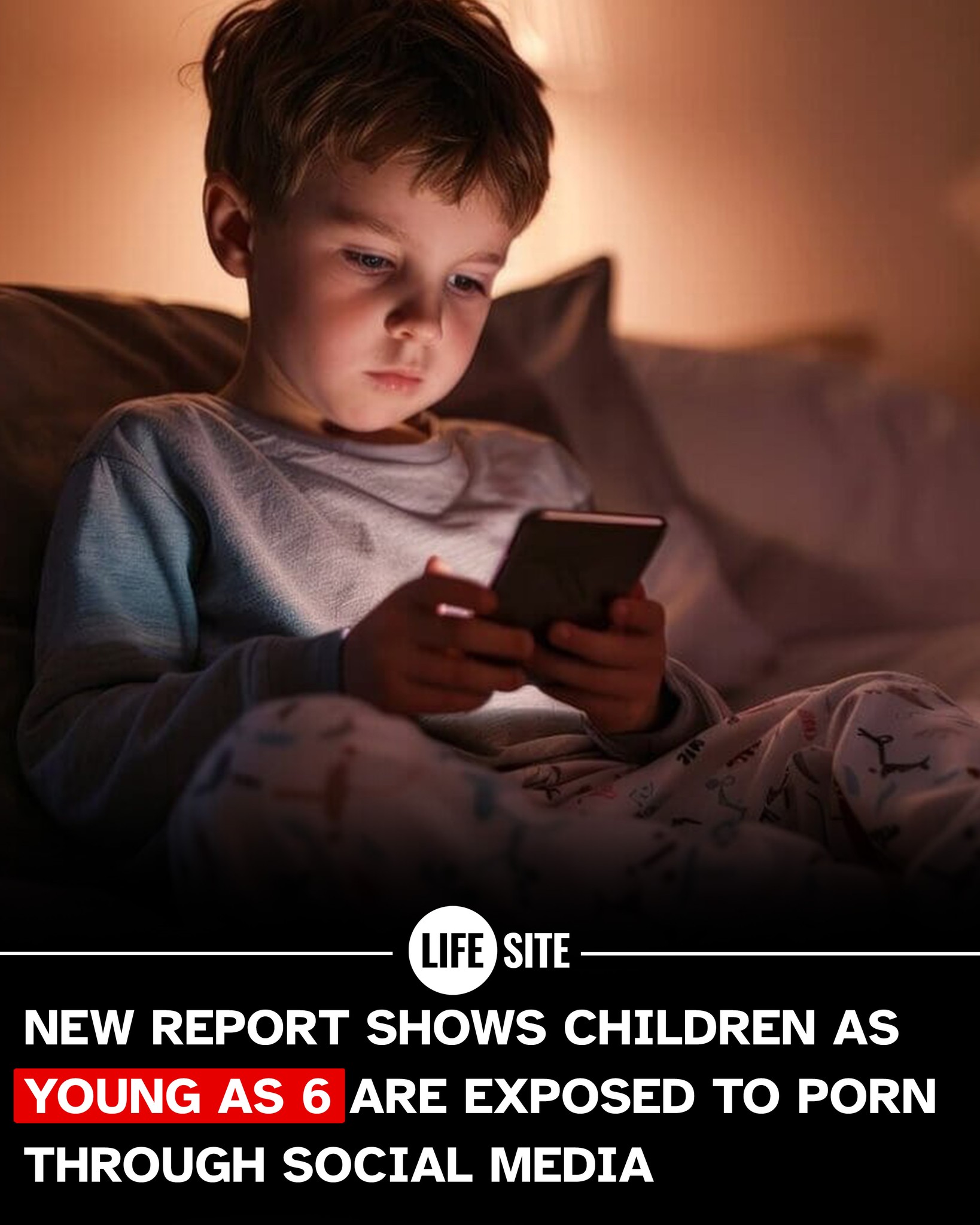 LifeSite - Pornography is no longer solely an issue for teenagers… this ...