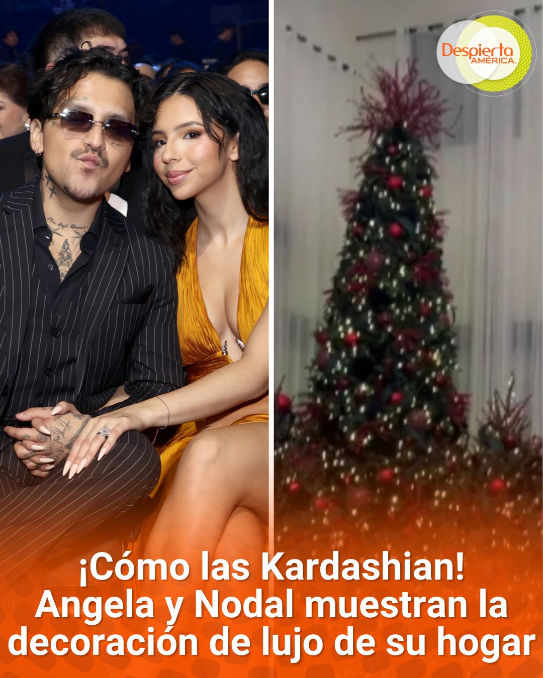 Despierta ¡festejan La Navidad Así Luce La Enorme Mansión De