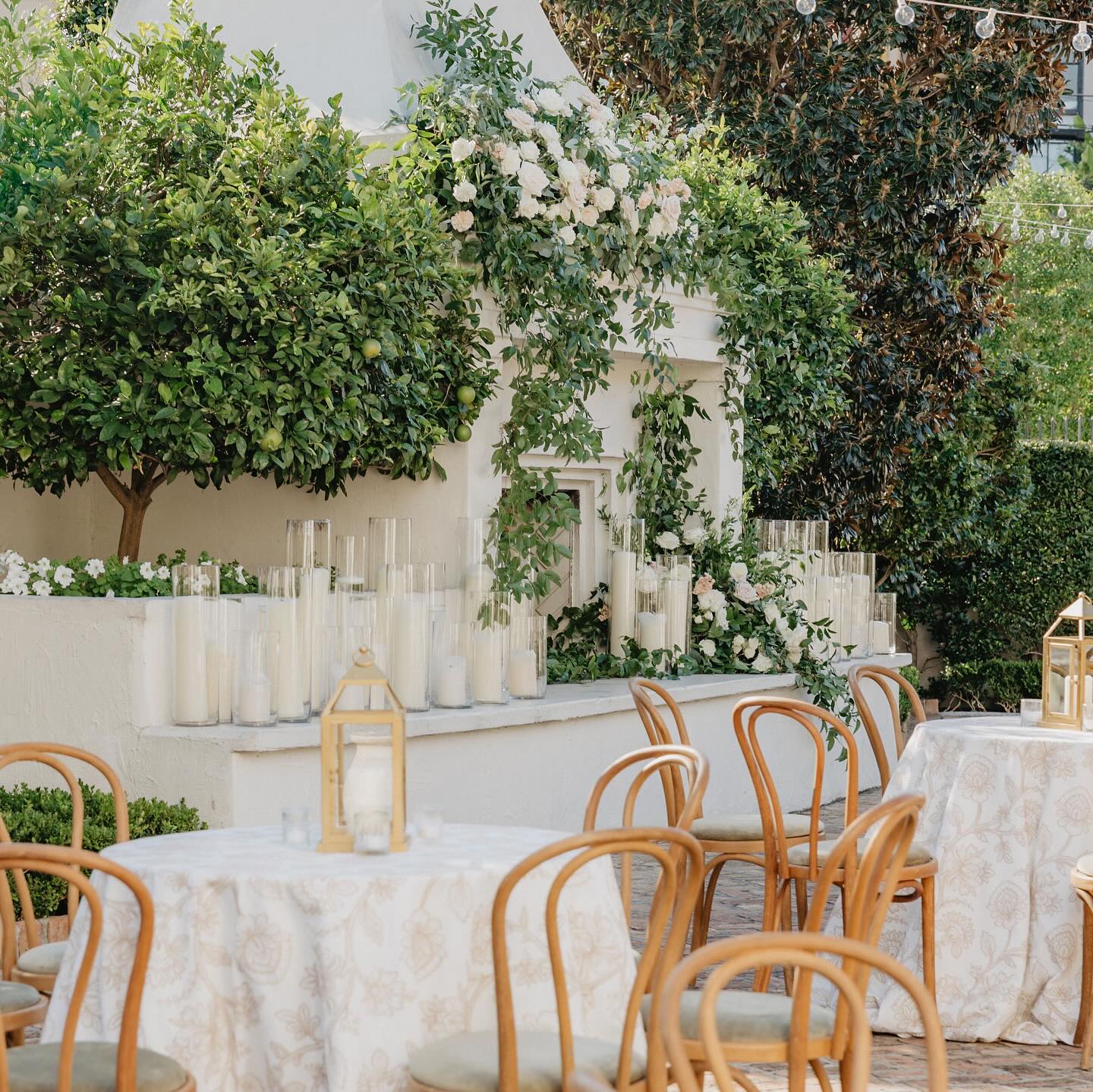 Ashleigh Elizabeth Ashleigh Elizabeth Weddings Events