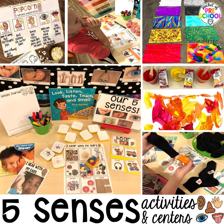 Explore the 5 senses in your science... - Pocket of Preschool | Facebook