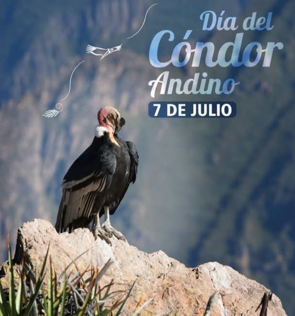 RadioJamavision - ⏳#UnDíaComoHoy | El cóndor es una de las aves más ...