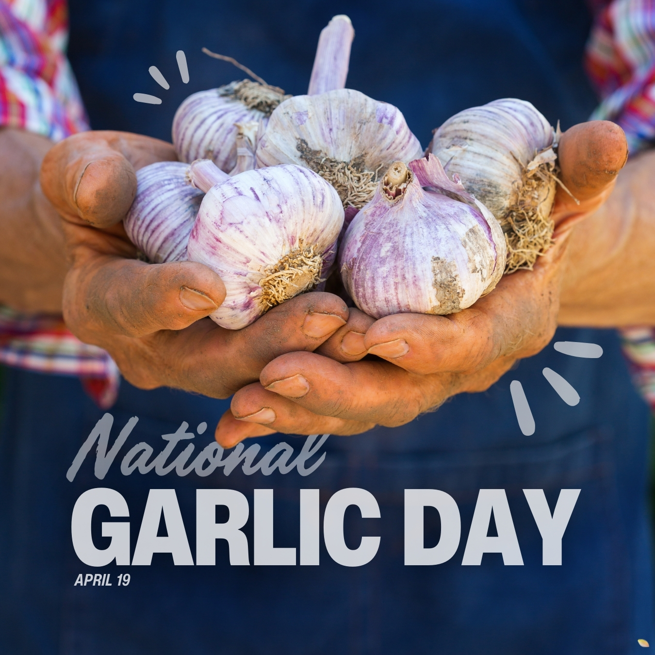 Farmers' - It’s National Garlic Day! 🧄🎉 Let’s celebrate the tiny but ...