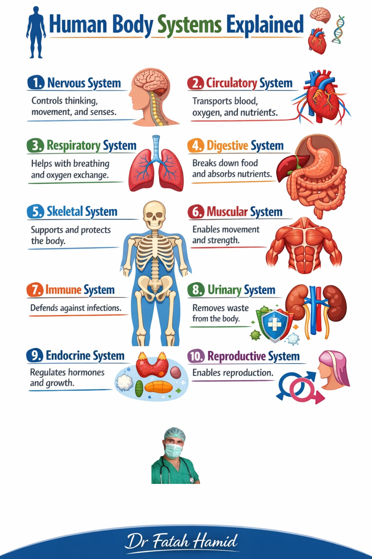 Dr - Human Body Systems Explained #health #students #Nursing # ...