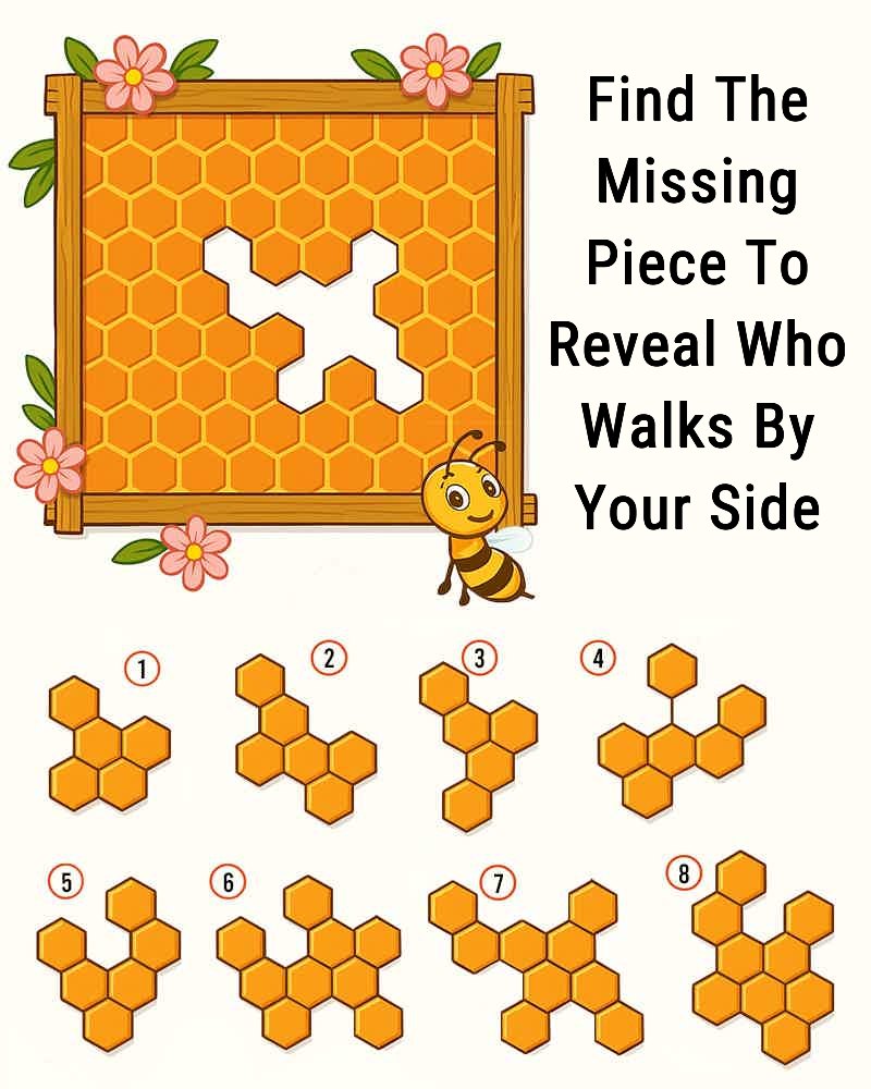 nametests.com - Find The Missing Honeycomb Piece To Reveal Who Walks By ...