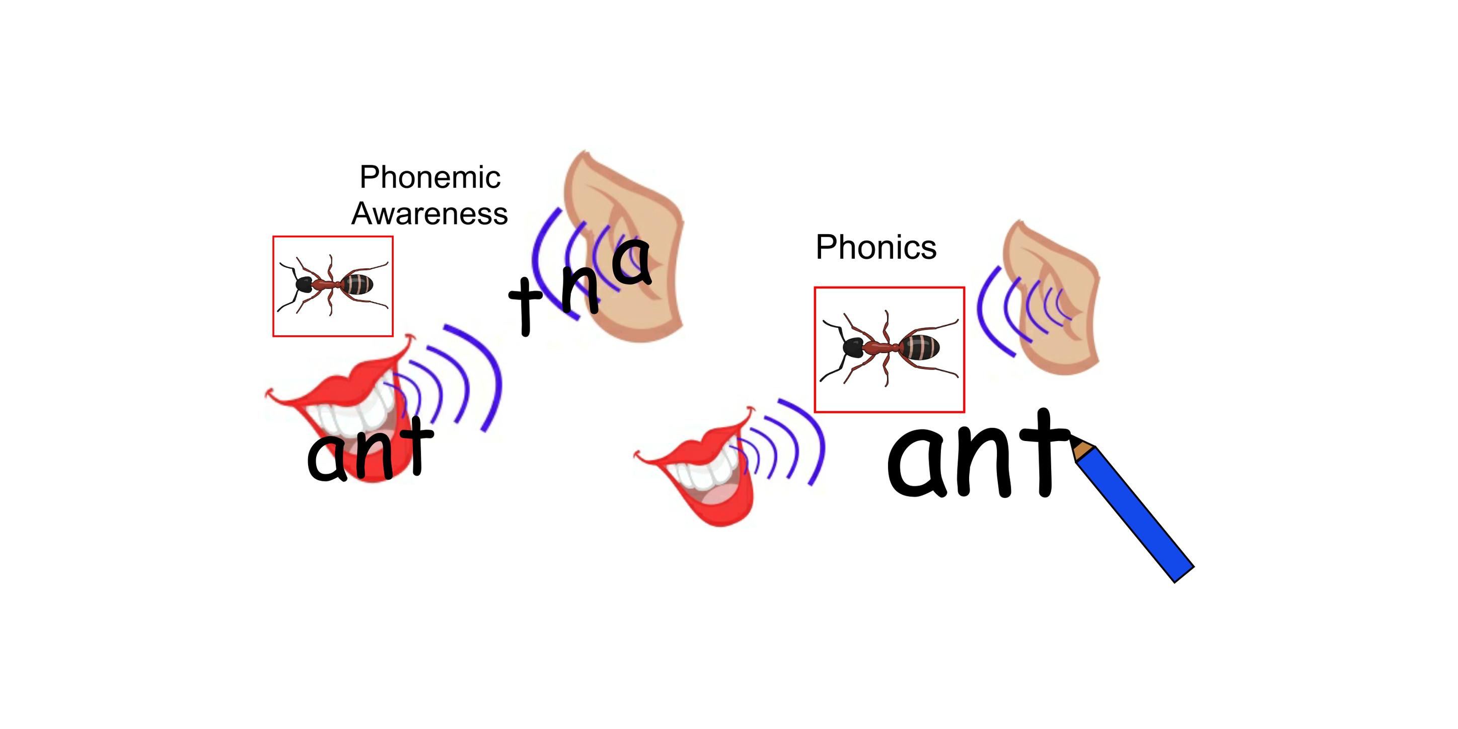 Teach Phonics - What is the difference between #phonics... | Facebook