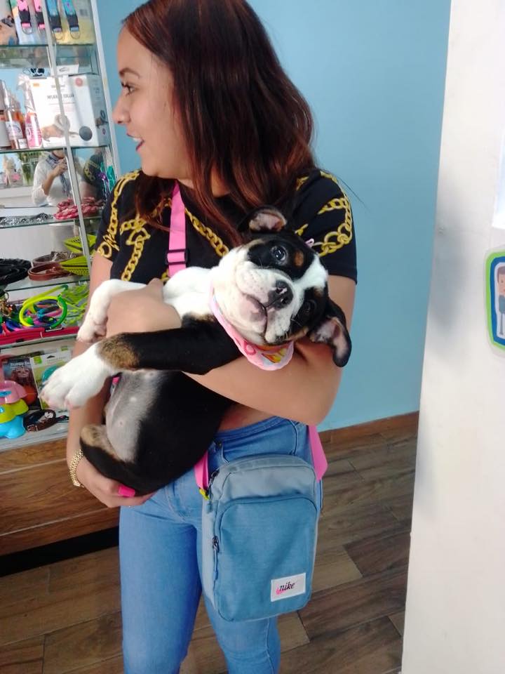 Bark And Meow Lia Estuvo Con Nosotros En Pensión La