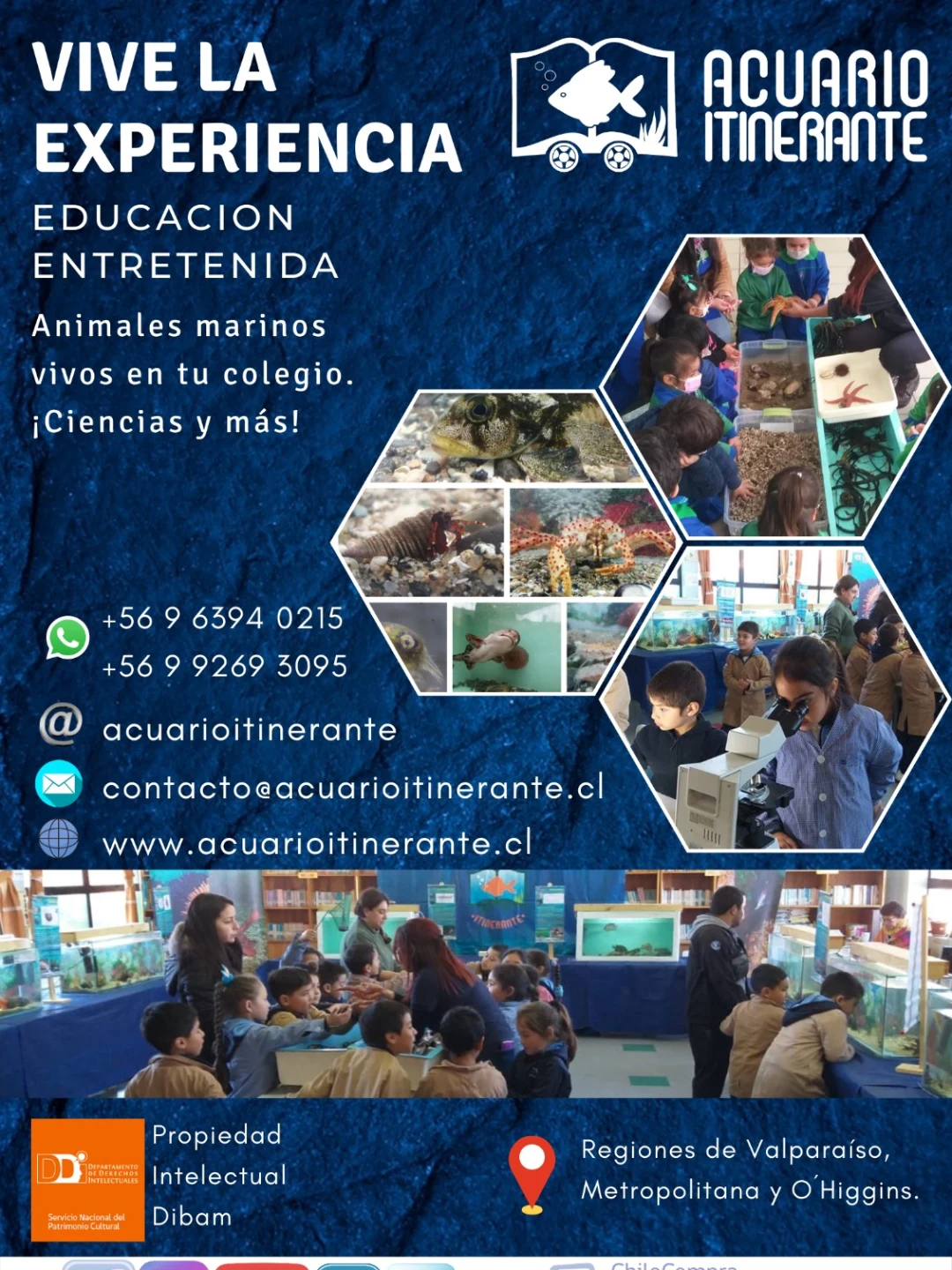 Página: Acuario Itinerante