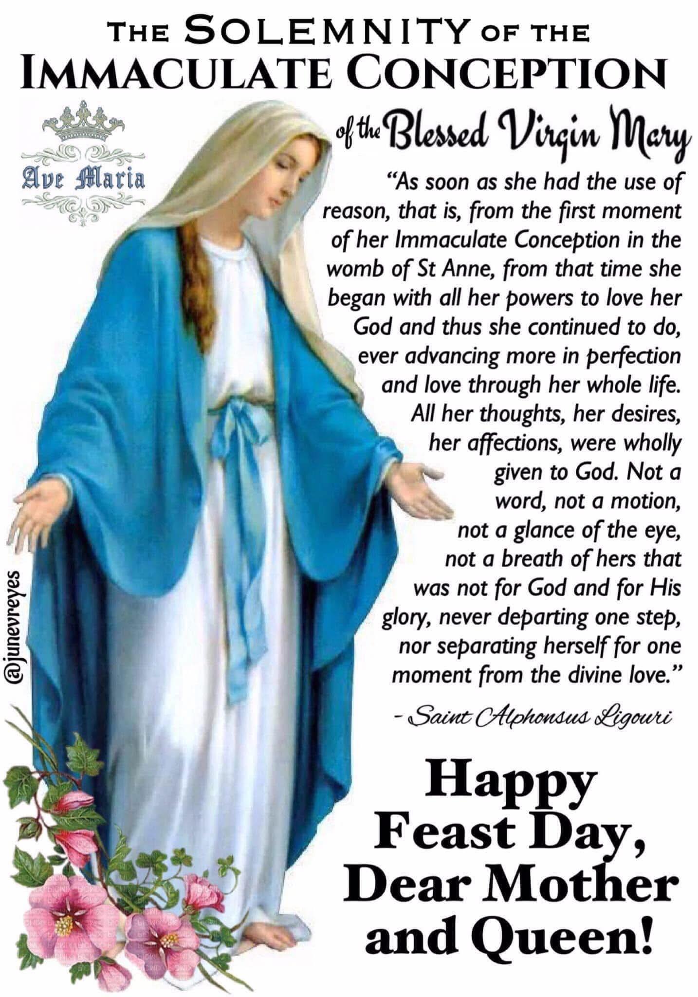 Saint - December 8th - SOLEMNITY OF IMMACULATE CONCEPTION OF THE ...