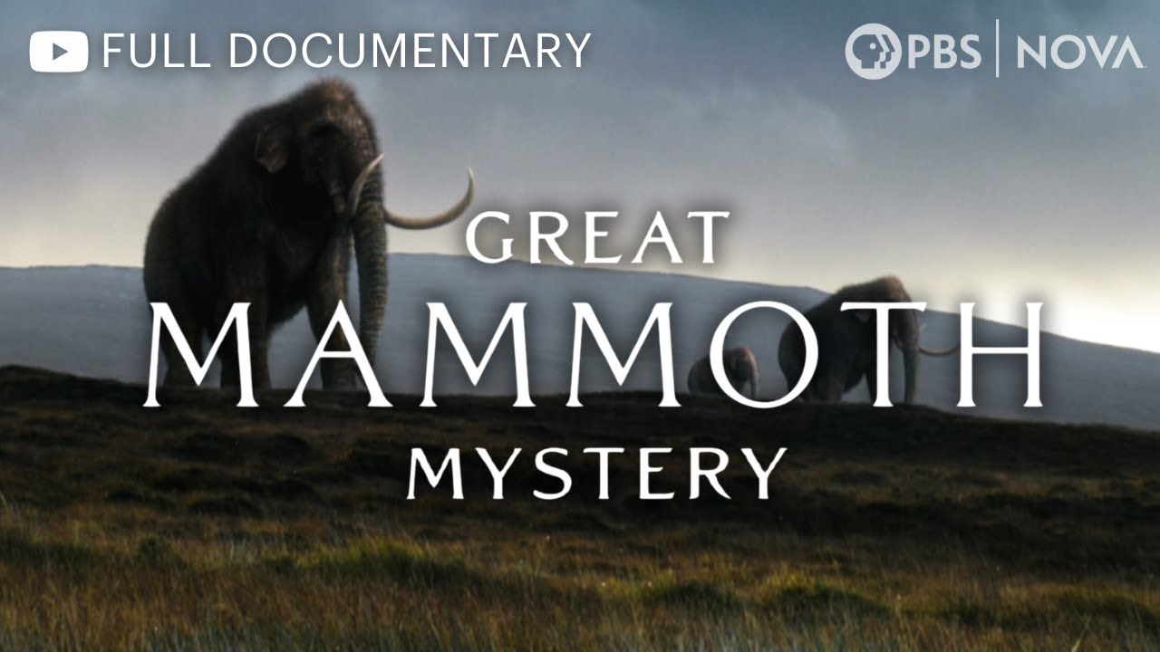 Independent - Great Mammoth Mystery | Full Documentary | NOVA | PBS ...