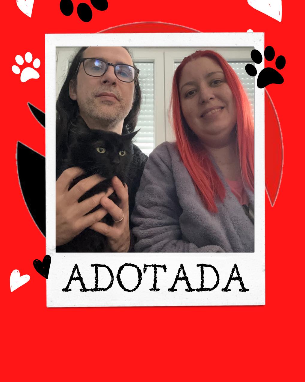Comraça ️ Adotada ️ Depois De Tudo O Que Essa Gatinha Passou Ela