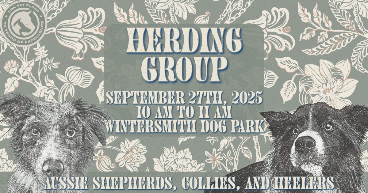 Herding Breeds Dog Meet Up