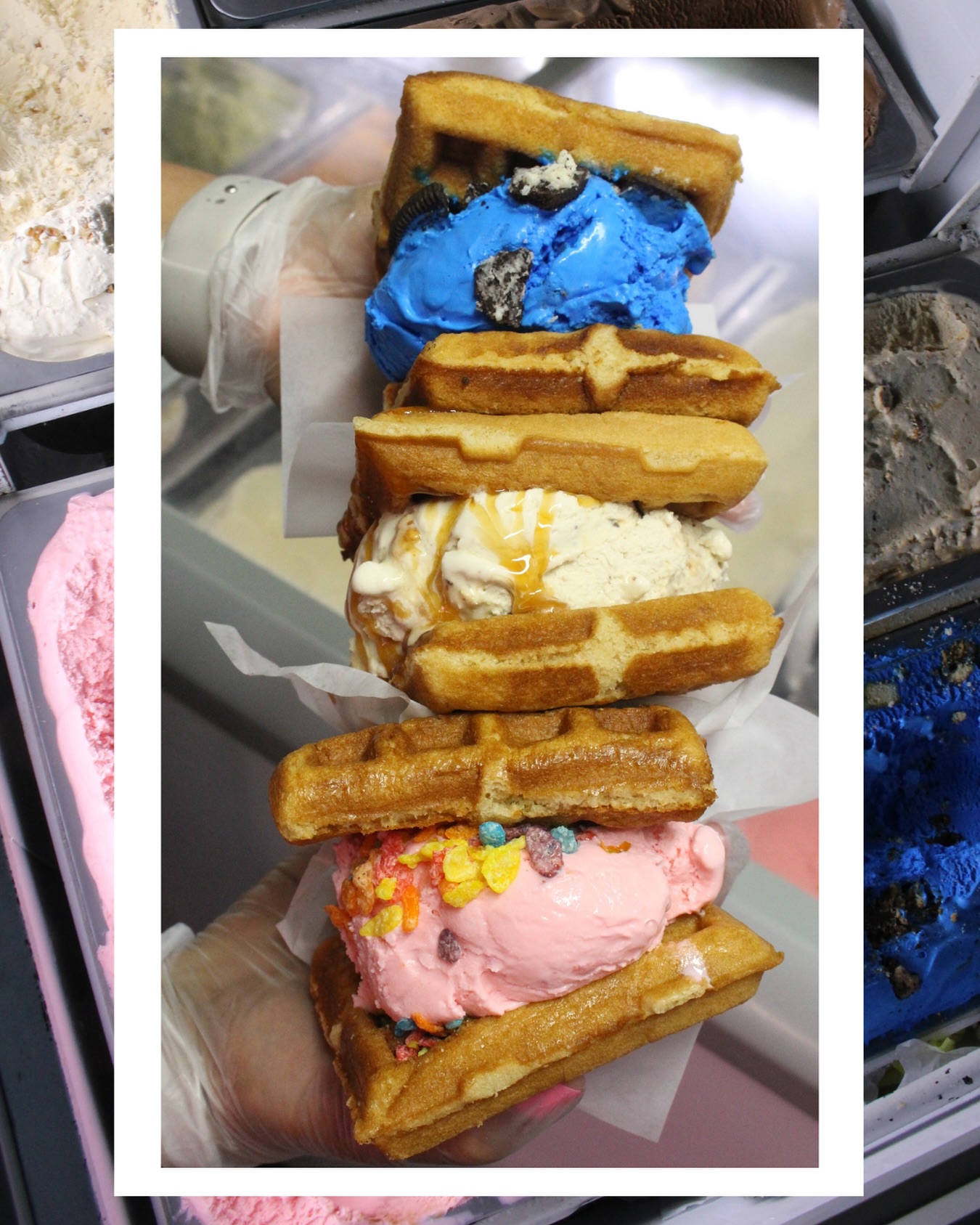 Novel Ice Cream | Phoenix AZ