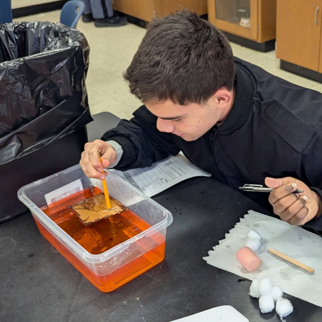 Fork - In Mrs. Welch’s AP Environmental Science class, students ...