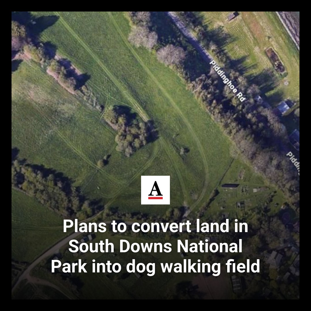 The Argus - Looks like they're barking up the right tree 🐶🐕‍🦺 | Facebook