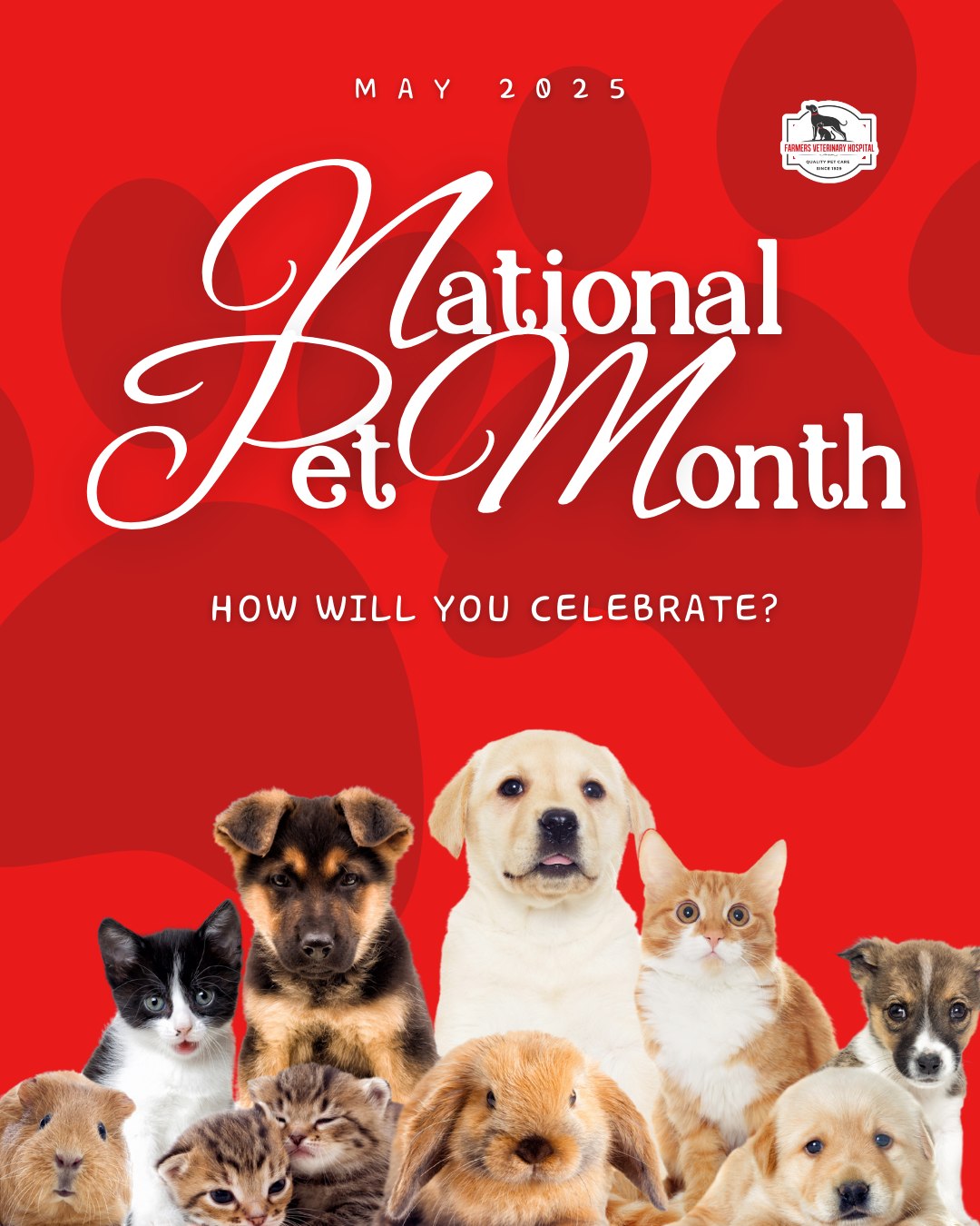 Farmers - Happy National Pet Month! 🎉🐾 This month, we’re celebrating ...