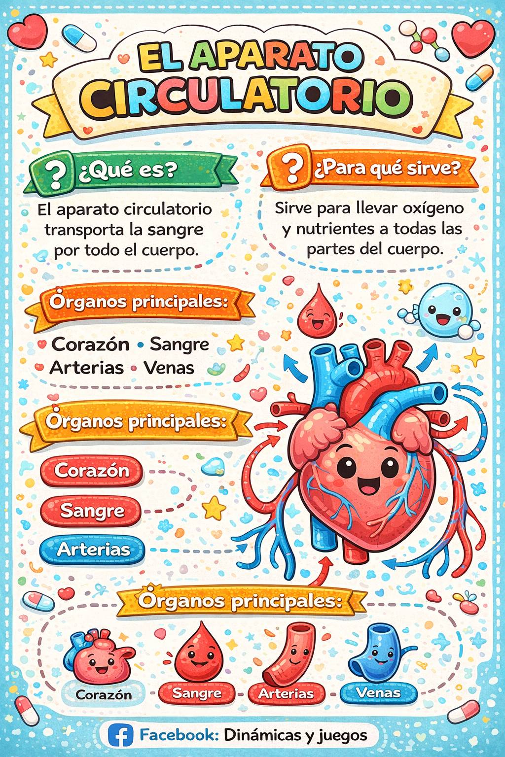 🧠🫀 Los aparatos del cuerpo humano... - Dinamicas y Juegos | Facebook