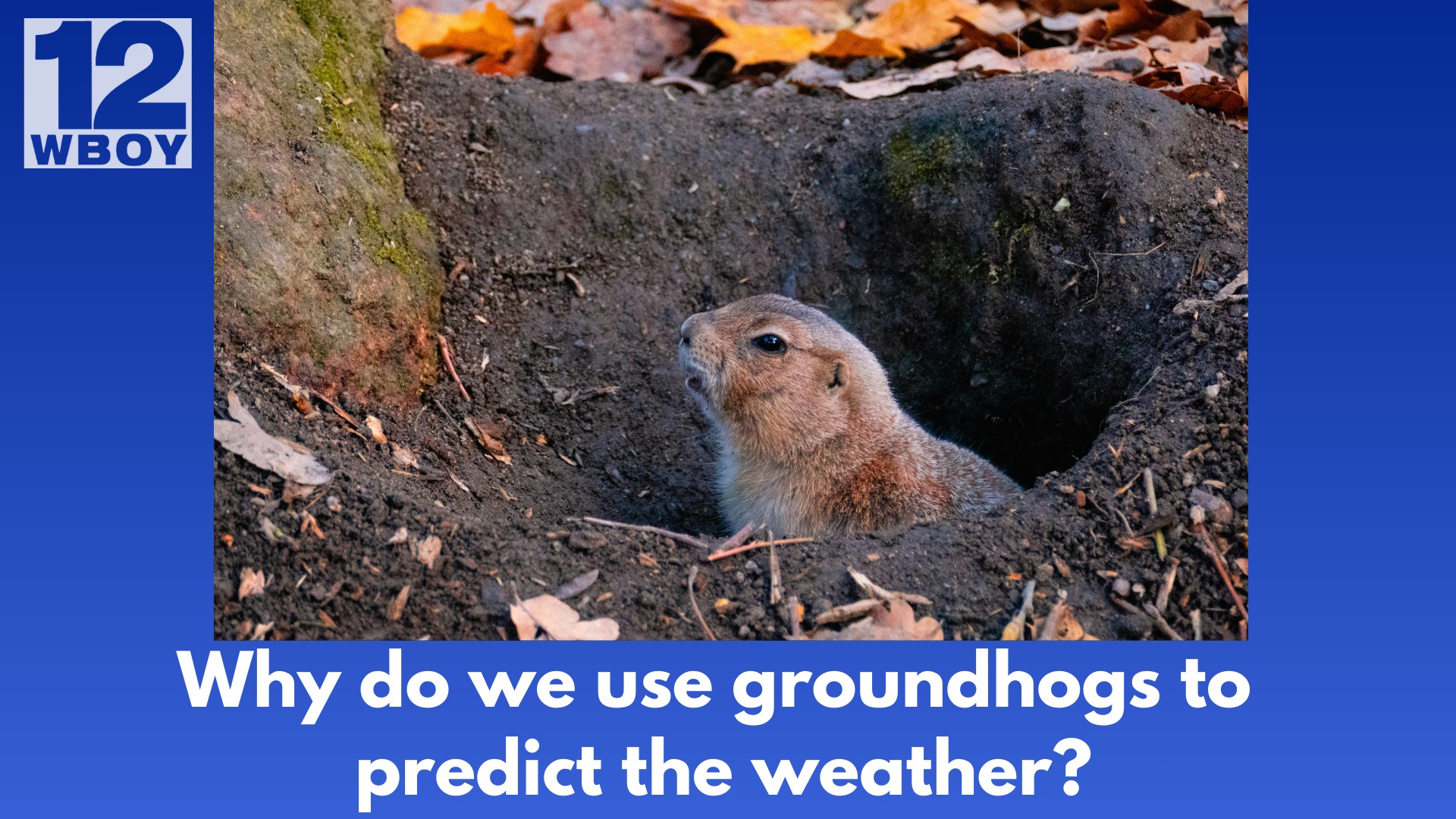 WBOY - Residents across the Appalachian Mountains observed Groundhog ...