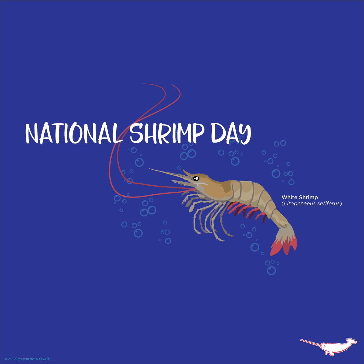 Peppermint Narwhal Creative - Happy National Shrimp Day! There are more ...